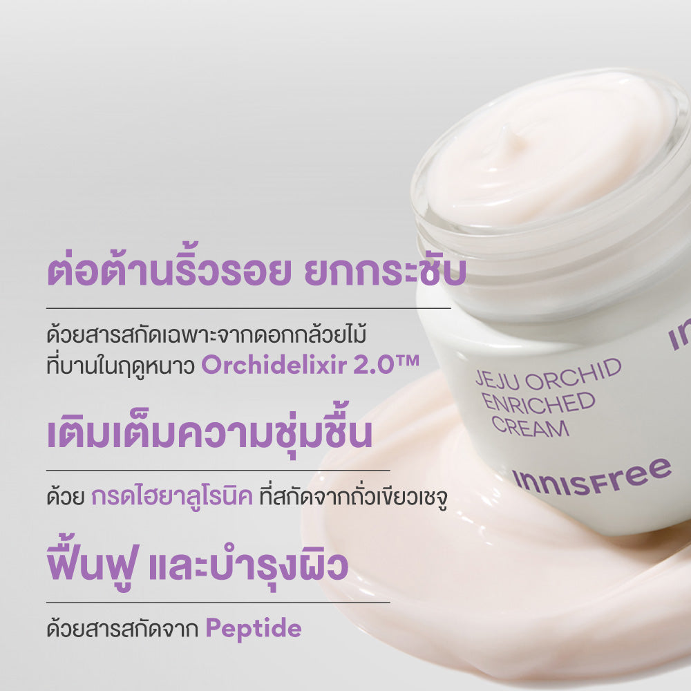 Jeju Orchid Enriched Cream 50ml – innisfree Thailand – INNISFREE Thailand